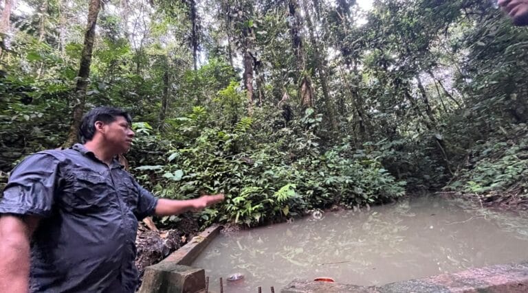 Tagaeri y Taromenane: ¿quiénes son y por qué es vital la sentencia de ...